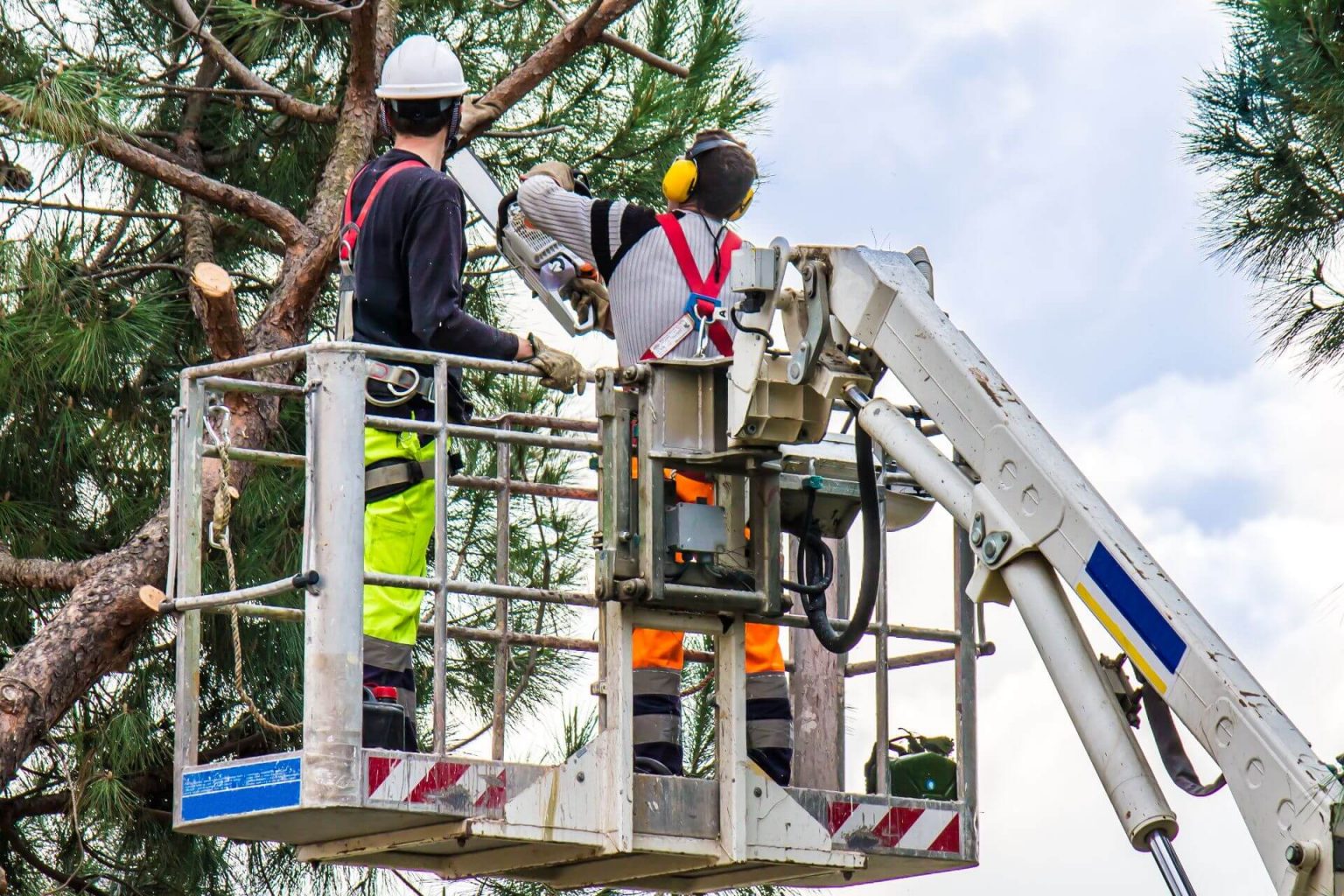 Top 4 Uses of a Cherry Picker - K2 Access Platform Hire
